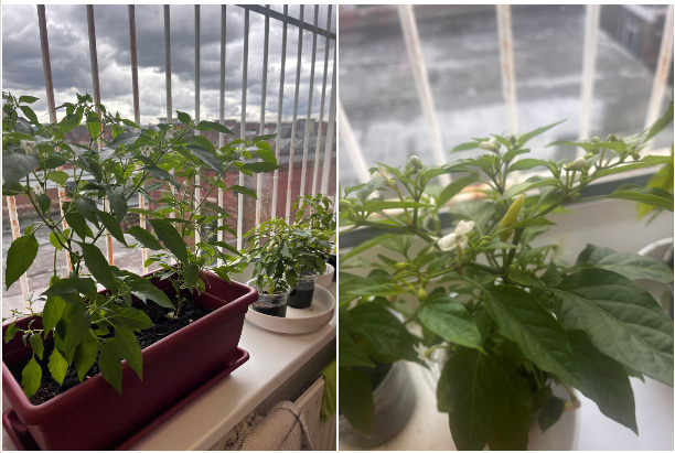 It's a well know fact that we're a highly · Next Phase Recruitment